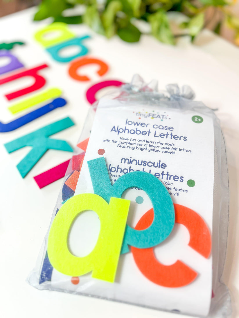 Alphabet & Flannel Board Starter Set – tinyfeats