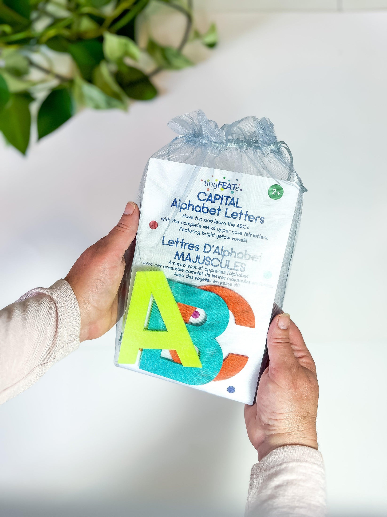 Alphabet Letters Capitals Set – tinyfeats