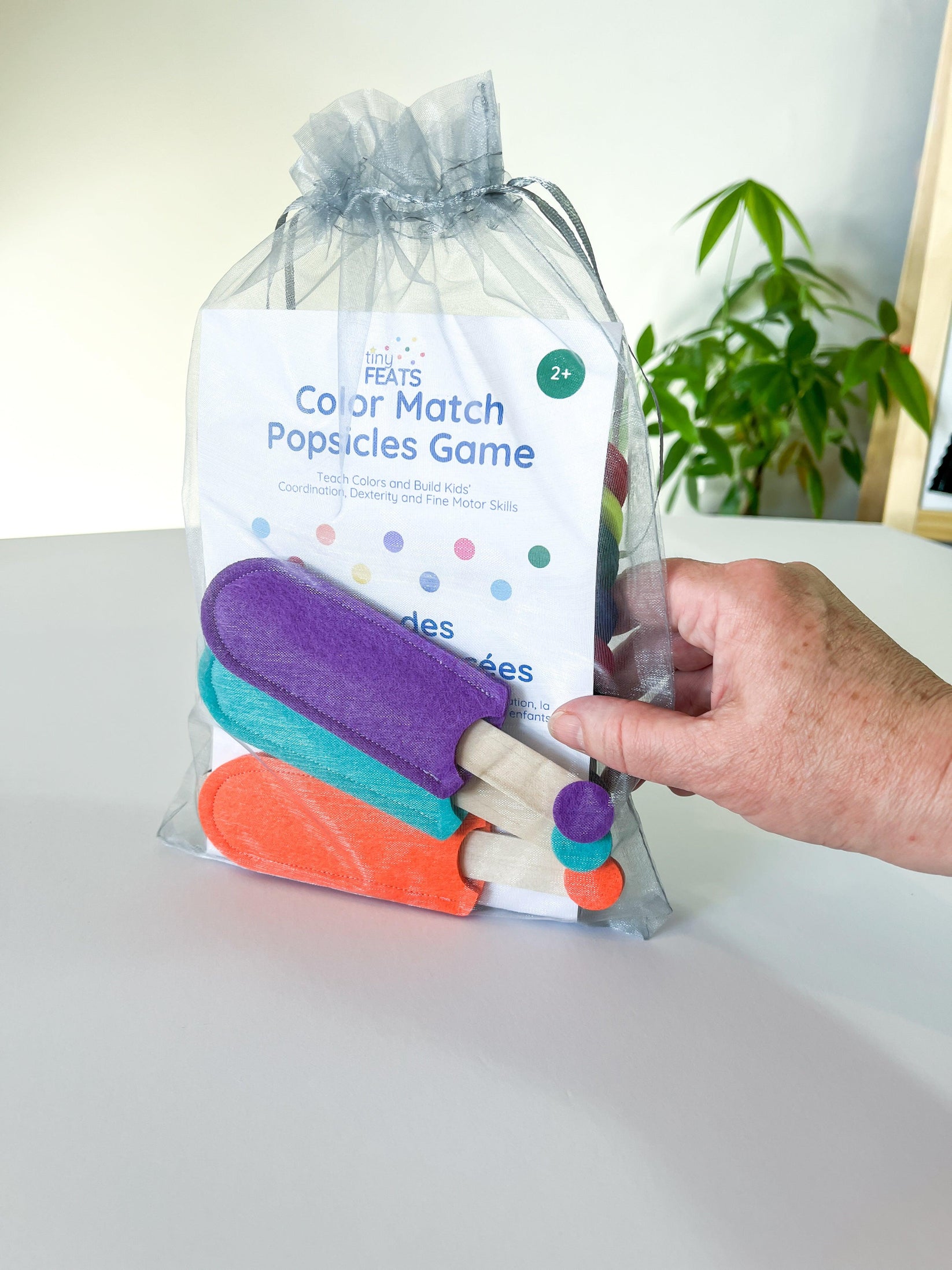 Color Match Popsicles - Limited Edition – tinyfeats